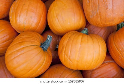 16,225 Bunch of pumpkin Images, Stock Photos & Vectors | Shutterstock