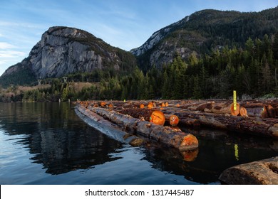 Bundle Logs Floating Ocean During Cloudy Stock Photo 1317445487 ...