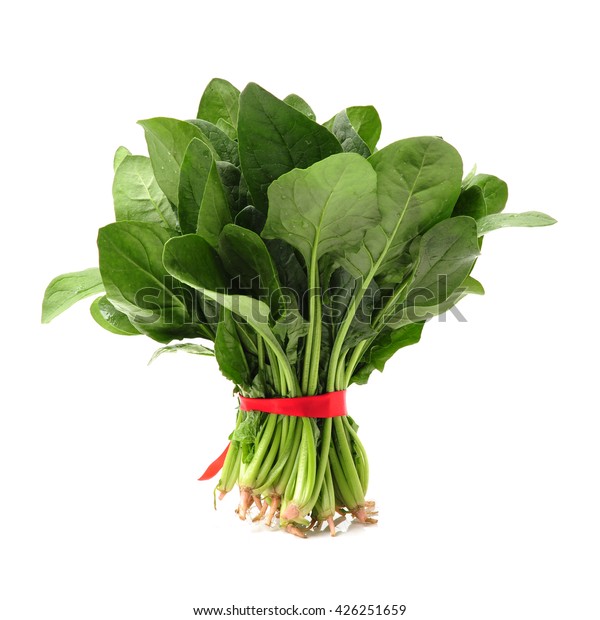 Bundle Spinach Stock Photo (Edit Now) 426251659