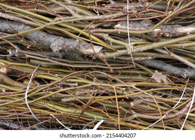 Bundle Sticks Branches Texture Stock Photo 2154404207 | Shutterstock