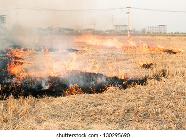 53,207 Burned Field Images, Stock Photos & Vectors | Shutterstock