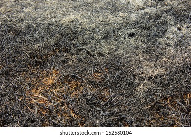 24,357 Burnt grass Images, Stock Photos & Vectors | Shutterstock