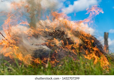 Stock Photo and Image Portfolio by Ihme Ihmeellinen | Shutterstock