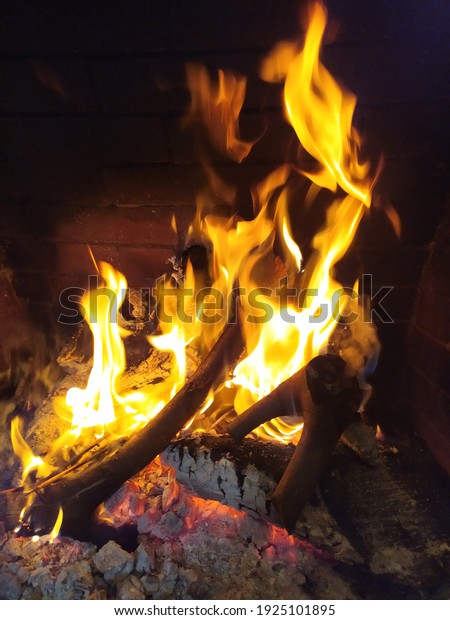 Burning Oak Tree Fireplace Stock Photo 1925101895 | Shutterstock