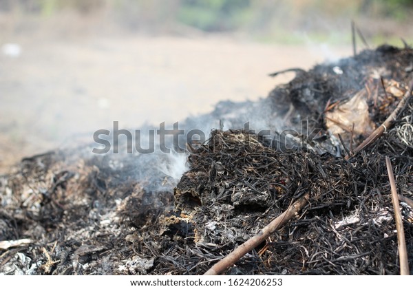 Burning Rice Straw Fields Burning Straw Stock Photo (Edit Now) 1624206253