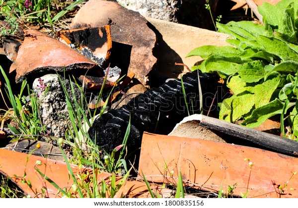 Burnt Objects After Big Fire Stock Photo 1800835156 | Shutterstock