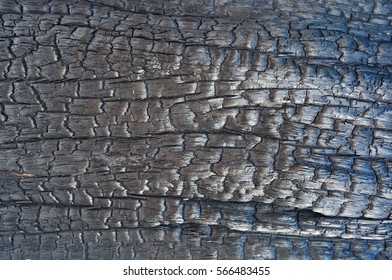 Burnt Tree Bark Background Texture Looking Stock Photo 566483455 ...