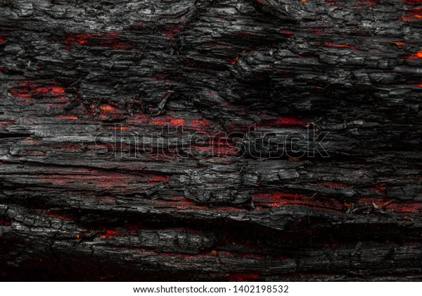 Burnt Tree Texture Black Background Horror Stock Photo 1402198532 ...