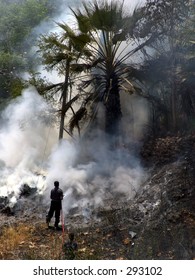 Bush Fire Stock Photo 293102 | Shutterstock