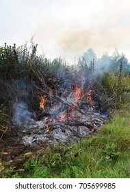 239 Bushfire Smoke People Black Images, Stock Photos & Vectors ...