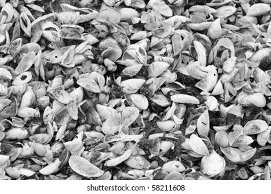 Stock Photo and Image Portfolio by Susie Prentice | Shutterstock