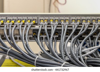 Cable Network Patch Panel Female Rj45 Stock Photo 441732967 | Shutterstock