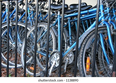 Stock Photo and Image Portfolio by Mireille Mobley | Shutterstock