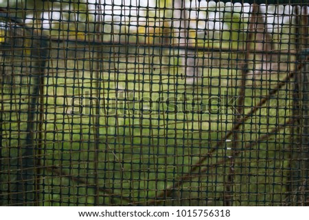 Cages Wire Texture Stock Photo (Edit Now) 1015756318 - Shutterstock