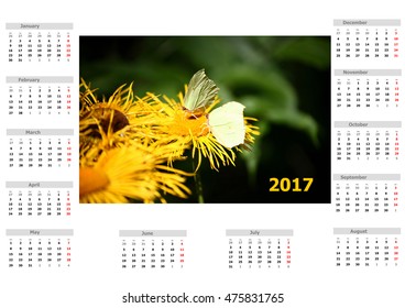 Vektor Stok Animal Printable Calendar 2017 Flora Fauna (Tanpa Royalti ...