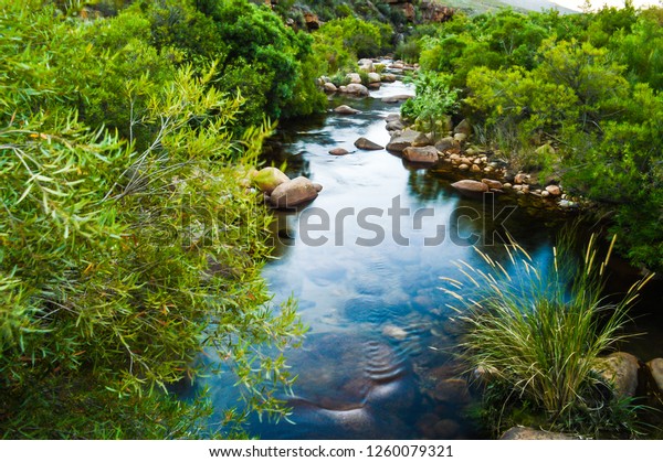 Calm Oasis Small Babbling Brook Cederberg Stock Photo (Edit Now) 1260079321