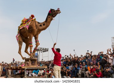 543 Camel Trainer Images, Stock Photos & Vectors | Shutterstock