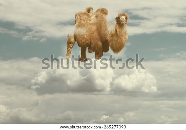 Camel Floating On Puffy Cloud Sky Stock Photo 265277093 | Shutterstock