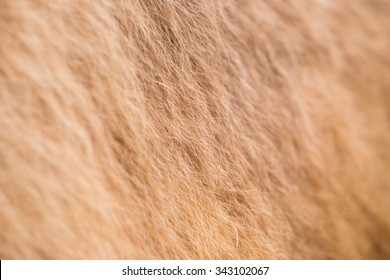 1,469 Camel wool texture Images, Stock Photos & Vectors | Shutterstock
