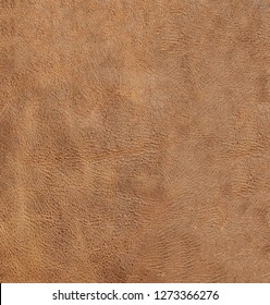 691 imágenes de Camel leather texture - Imágenes, fotos y vectores de ...