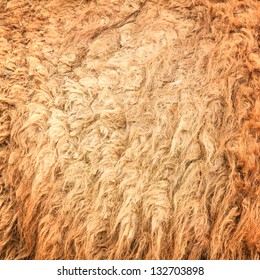 1,469 Camel wool texture Images, Stock Photos & Vectors | Shutterstock
