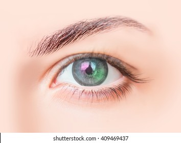 Camera Lens Inside Eye Stock Photo 409469437 | Shutterstock