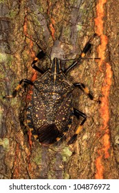 294 Bug fart Images, Stock Photos & Vectors | Shutterstock