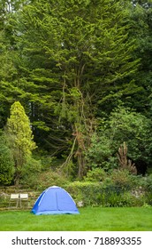 Camping Under Trees Stock Photo 718893355 | Shutterstock