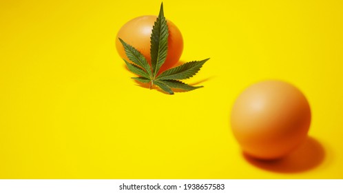 172 Easter cannabis Images, Stock Photos & Vectors | Shutterstock