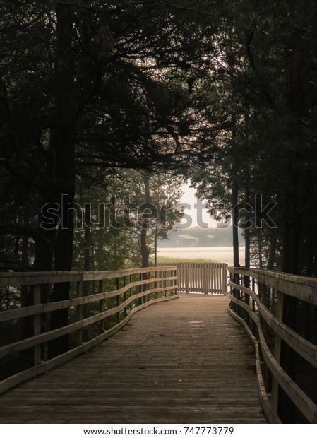 Canopy Path Stock Photo 747773779 | Shutterstock