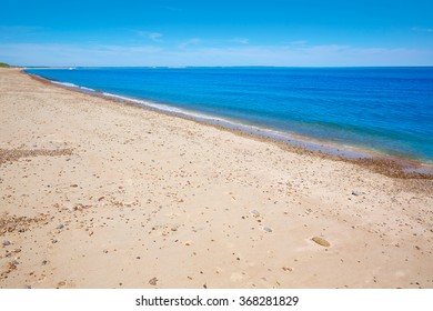170 Sandy neck dunes Images, Stock Photos & Vectors | Shutterstock