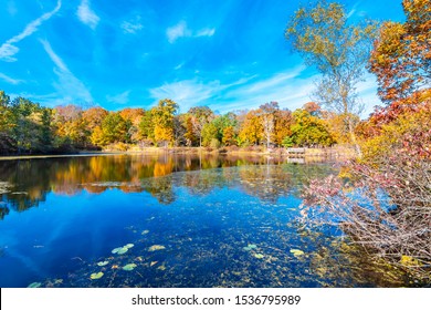 54 Daniel Wright Images, Stock Photos & Vectors | Shutterstock