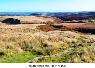 1,249 Bronte land Images, Stock Photos & Vectors | Shutterstock