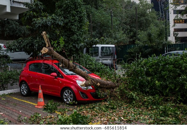 2,142 Overturned Tree Images, Stock Photos & Vectors | Shutterstock