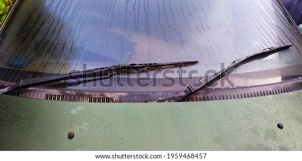 Car Windshield Fan Has Function Cleaning Stock Photo 1959468457 ...
