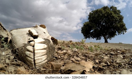 243 Donkey skull Images, Stock Photos & Vectors | Shutterstock