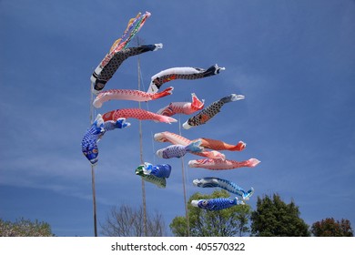 Carp Streamer Stock Photo 405570322 | Shutterstock