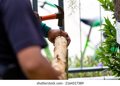 Carpenter Cutting Constructing Large Tree Crutches Stock Photo ...