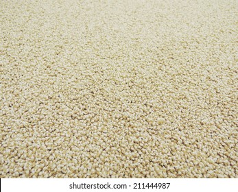 6,469 Tan carpet Images, Stock Photos & Vectors | Shutterstock
