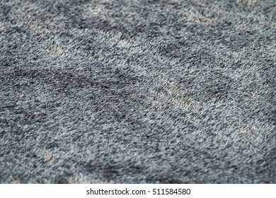 1,047 Carpet low angle Images, Stock Photos & Vectors | Shutterstock