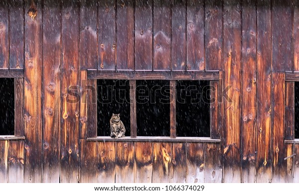 Cat Barn Window While Snowing Stock Photo 1066374029 | Shutterstock