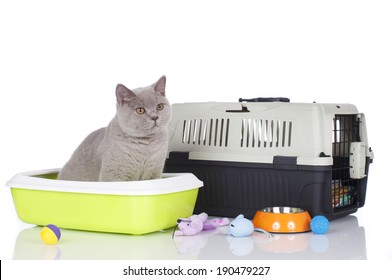 56,862 Pet kennels Images, Stock Photos & Vectors | Shutterstock