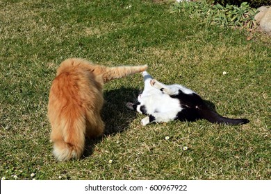 59 Ear slapping Images, Stock Photos & Vectors | Shutterstock
