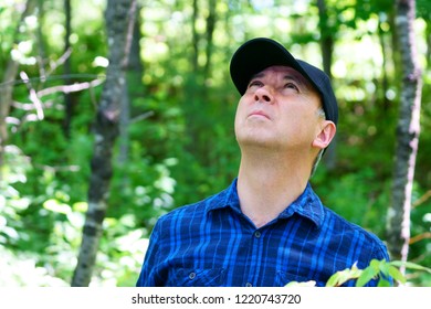 Caucasian Man Looking Tree While Hiking Stock Photo 1220743720 ...