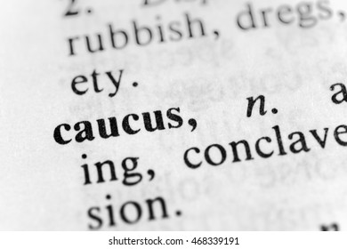 2,994 Caucused Images, Stock Photos & Vectors | Shutterstock