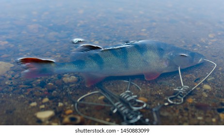 214 Fish stringer Images, Stock Photos & Vectors | Shutterstock