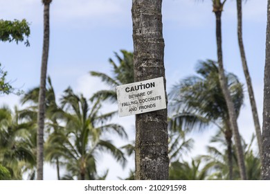 59 Beware Falling Coconut Images, Stock Photos & Vectors | Shutterstock