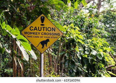 Caution Monkey Crossing Stock Photo 619160396 | Shutterstock