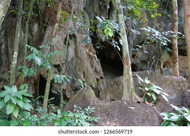 Cave Under Mountain Stock Photo 1266569719 | Shutterstock
