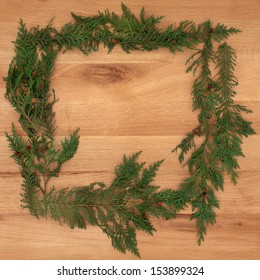 47,393 Cedar leaves Images, Stock Photos & Vectors | Shutterstock